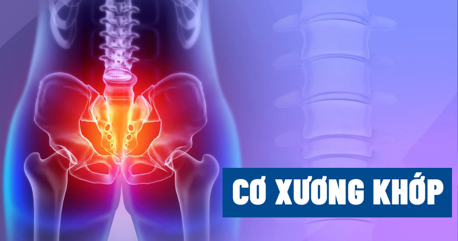 Chuyên mục Cơ xương khớp - Công ty Cổ phần Dược phẩm ECO