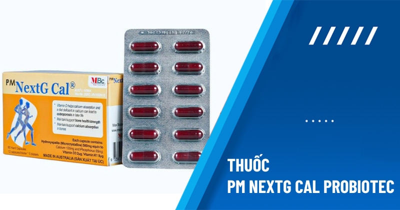 Thuốc PM NextG Cal Probiotec: Tác dụng, liều dùng, giá bao nhiêu