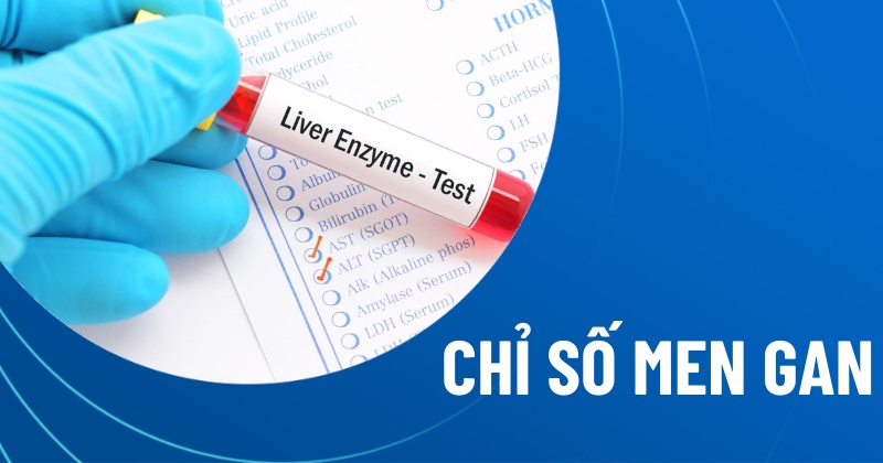 Chỉ số men gan bình thường là bao nhiêu? Khi nào cao nguy hiểm?